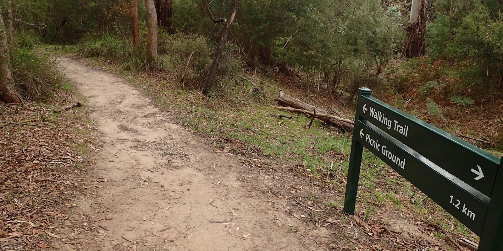 WARRANDYTE - Wurundjeri Stories Trail - Deadly Story